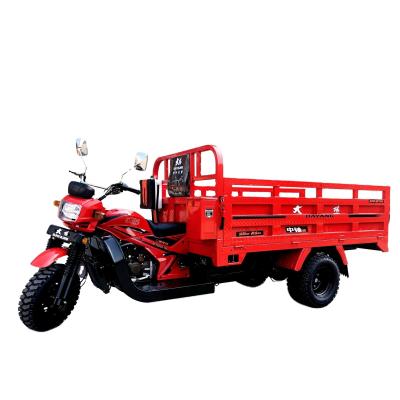 China DAYANG 300cc motorfiets driewieler 5 3 Achterste veerblaadjes Open lichaam Type Rode vracht Volwassen Te koop