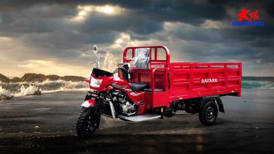 Cina DAYANG 200CC Lifan CCC Origine Red Heavy Loading Truck Triciclo con motore a super freddo in vendita