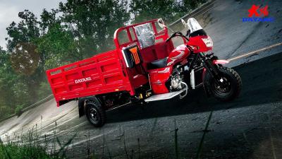 Cina DAYANG 200CC Lifan CCC Origine Red Heavy Loading Truck Triciclo con motore a super freddo in vendita