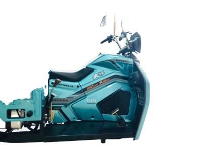 Cina 250cc Triciclo a benzina con grande capacità di carico e stabilità in vendita