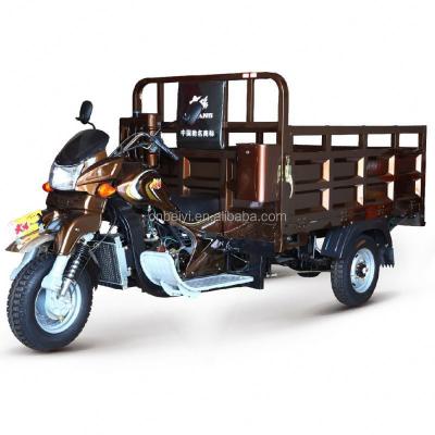 China 150cc driewieler 200cc driewieler motorfiets 250cc vrachtfiets gemotoriseerd rijden type 5.0 Te koop