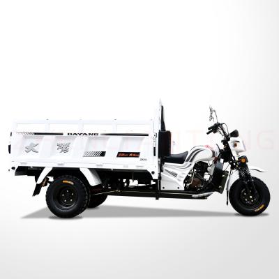 Cina 201 250cc chiuso Trimoto a motore da 800 W con quattro ruote posteriori CN CHO in vendita