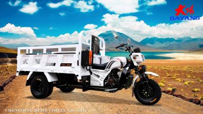Cina 201 250cc chiuso Trimoto a motore da 800 W con quattro ruote posteriori CN CHO in vendita