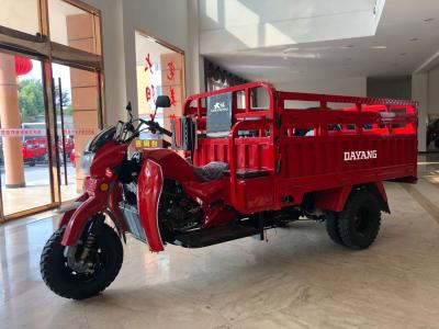Cina High Cost Performance 250cc DAYANG Cargo Trike motorizzato con 800W di potenza e batteria 9A in vendita