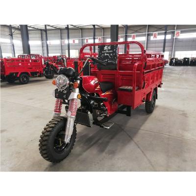 Cina Motore da 175cc 2021 Chongqing DaYang Triciclo a motore per merci per molteplici applicazioni in vendita