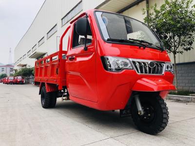 Cina Triciclo a cabina chiusa in acciaio con carico motorizzato e motore a carico pesante 200cc/250cc/300cc in vendita