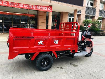 Cina Triciclo a corpo aperto con motore potente 200CC/250CC/300CC Motociclo a tre ruote in vendita