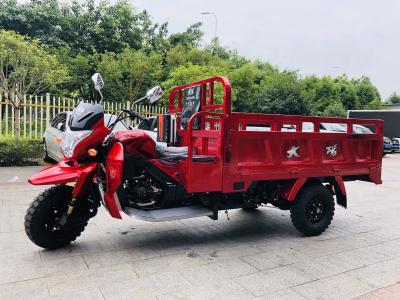 Cina Triciclo a corpo aperto con motore potente 200CC/250CC/300CC Motociclo a tre ruote in vendita