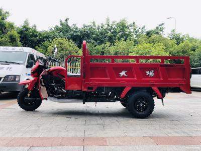 Cina Triciclo a corpo aperto con motore potente 200CC/250CC/300CC Motociclo a tre ruote in vendita