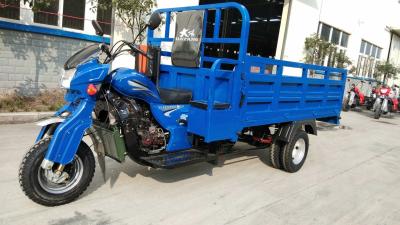 Cina Myanmar Tricycle 250cc Motocicletta a tre ruote con motore raffreddato ad aria 201 cc in vendita