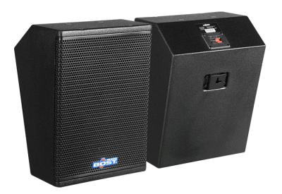 China 10 inch professional PA speaker MQ310 for sale