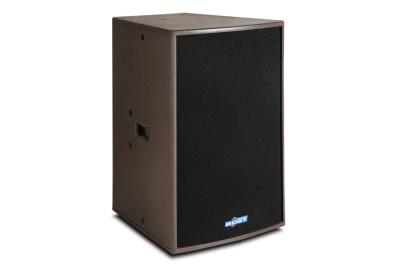 China 13.5 inch professional loudspeaker passive two way pa conference speaker BL-13 for sale