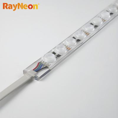 Cina DC12V 24V impermeabile IP68 PU Neon Flex Piscina Silicone Dimming LED Strip Lampade in vendita