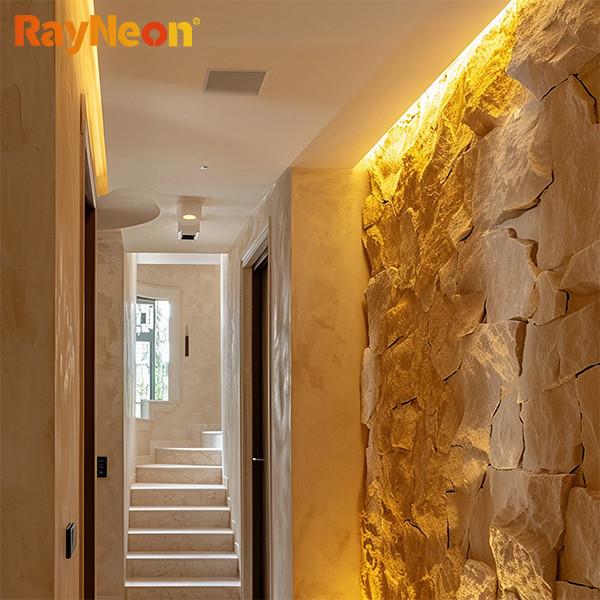 Quality Silicone Waterproof Neon Lights 08*16mm 120LED/M Side View Neon LED Flexible 12V for sale