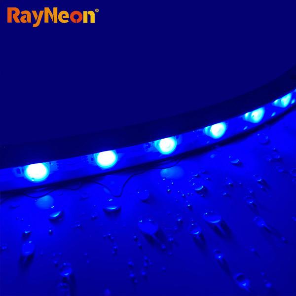 Quality Silicon Flex LED Wall Washer DC24V DMX512 Dimmable RGBW LED Wall Washer Lights for sale