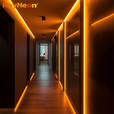 中国 DC24V COBネオンライト RGB LEDストリップ 5mロール 室内天井用 IP67防水 販売のため