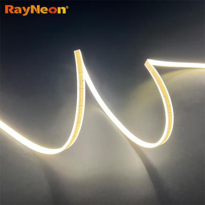China Outdoor Flexible COB Neon Light DC12V DC24V SMD 2835 10mm RGB LED Strip 120leds/M for sale