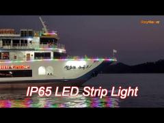 Strisce LED RGB 20*20mm Impermeabili IP65 DC24V Neon flessibile LED 3000K 4000K 5000K