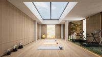 China Super series large angle split skylight for sale