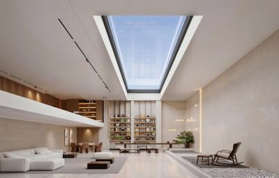 China DMS  Large Size Skylight for sale