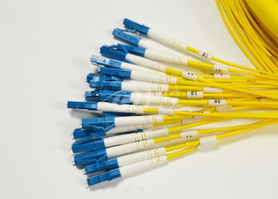 Cina 24 cavi di toppa di fibra ottica del saltatore di distribuzione del centro, cavi di toppa a fibra ottica in vendita