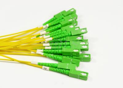 China 24 boor enig het flardkoord van de wijzevezel, vezel optische assemblage SM MU/APC uit - Sc/APC Te koop