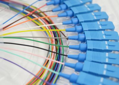 Cina Cavo di toppa di fibra ottica monomodale dello Sc dei 12 centri per l'attrezzatura di prova ottica in vendita