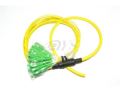 Cina Cavo della toppa pre-terminato 24core di fibra ottica di SC/APC in vendita