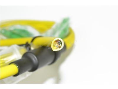 Cina Cavo della toppa pre-terminato 24core di fibra ottica di SC/APC in vendita