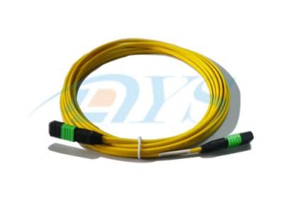 中国 繊維のリボンの CATV システムのための光ファイバーのパッチ・コード FTTH のピグテール 販売のため