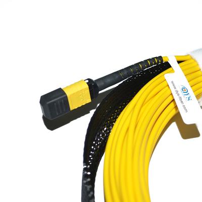 Cina 12 connettore reversibile Patchcord dell'occhio di trazione dell'elite della fibra MPO in vendita