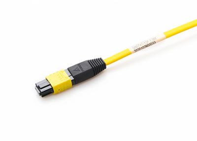 中国 のための1m MPO MTPネットワークのパッチ・コードはケーブルで通信することをデータ センタ 販売のため