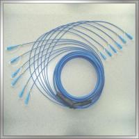 China Home Armoured Blue 2.9mm (1core, 2core) Outer Diameter Optical Fiber Patch Cord for sale