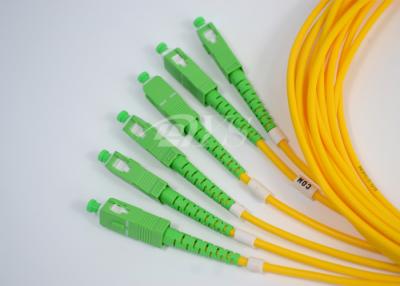 China Divisor do cabo de fibra ótica do PLC do SC APC 2*4 do único modo com os conectores do SC/APC à venda
