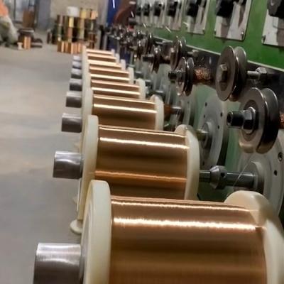 China 30 Feet 50 Feet 100 Feet Knitted Copper Mesh Slug Control for sale