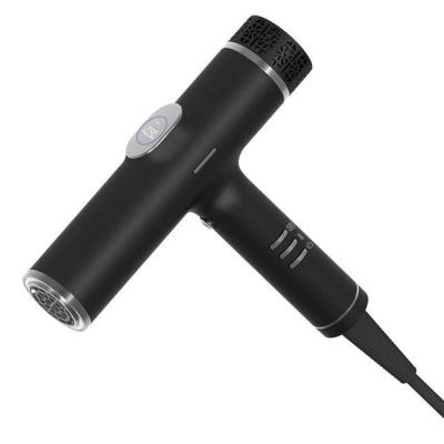 China De negatieve Beroeps van de de Stijlhoge snelheid van Ion Brushless Hair Dryer T Gevormde voor Salons Te koop