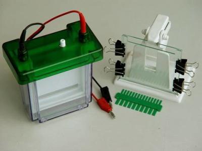 China Double-sided Vertical electrophoresis cells for sale