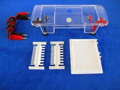 China Donglin brand DL-31CN Agarose Gel Electrophoresis Cell for sale