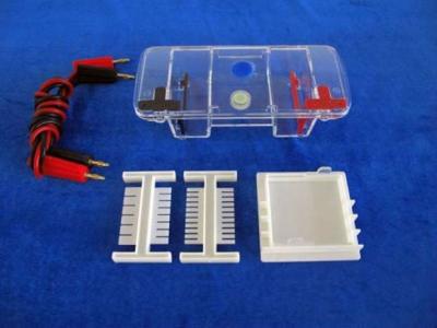 China Donglin Agarose gel horizontal electrophoresis cell (Large size ) for sale