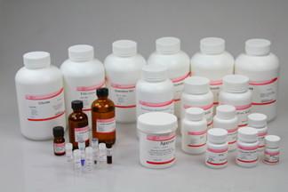 China M-MLV Reverse transcriptase for sale