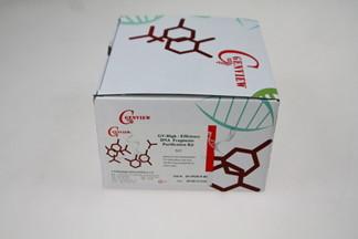 China M-MLV Reverse transcriptase for sale
