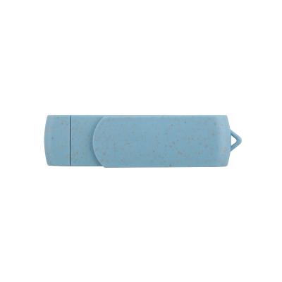 China Recyclable Materials USB Flash Drive With Type C U Disk For Data Storage for sale