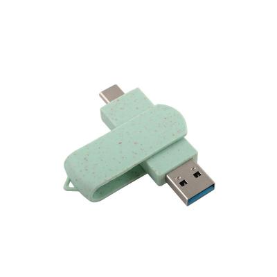 China Password Supported Custom Logo Type C USB Flash Drive for Mass Storage and Data Upload for sale