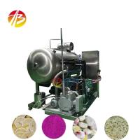 China 10kg Per Batch Vacuum Freeze Dryer for Large Scale Fruit and Vegetable Processing for sale