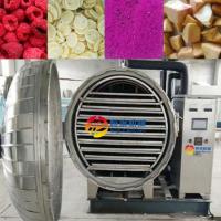 China 10kg Per Batch Vacuum Freeze Dryer for Large Scale Fruit and Vegetable Processing for sale