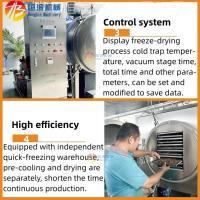 China 10kg Per Batch Vacuum Freeze Dryer for Large Scale Fruit and Vegetable Processing for sale