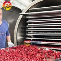 China 10kg Per Batch Vacuum Freeze Dryer for Large Scale Fruit and Vegetable Processing for sale