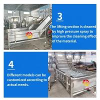 China Water Saving Advantage Corn Material Vegetable Washing Bubble Machine for Industry for sale