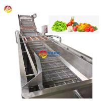 China Water Saving Advantage Corn Material Vegetable Washing Bubble Machine for Industry for sale