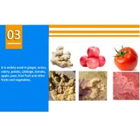 China Easy Operation and Fruit Crushing Machine for Apple Tomato Strawberry Processing for sale